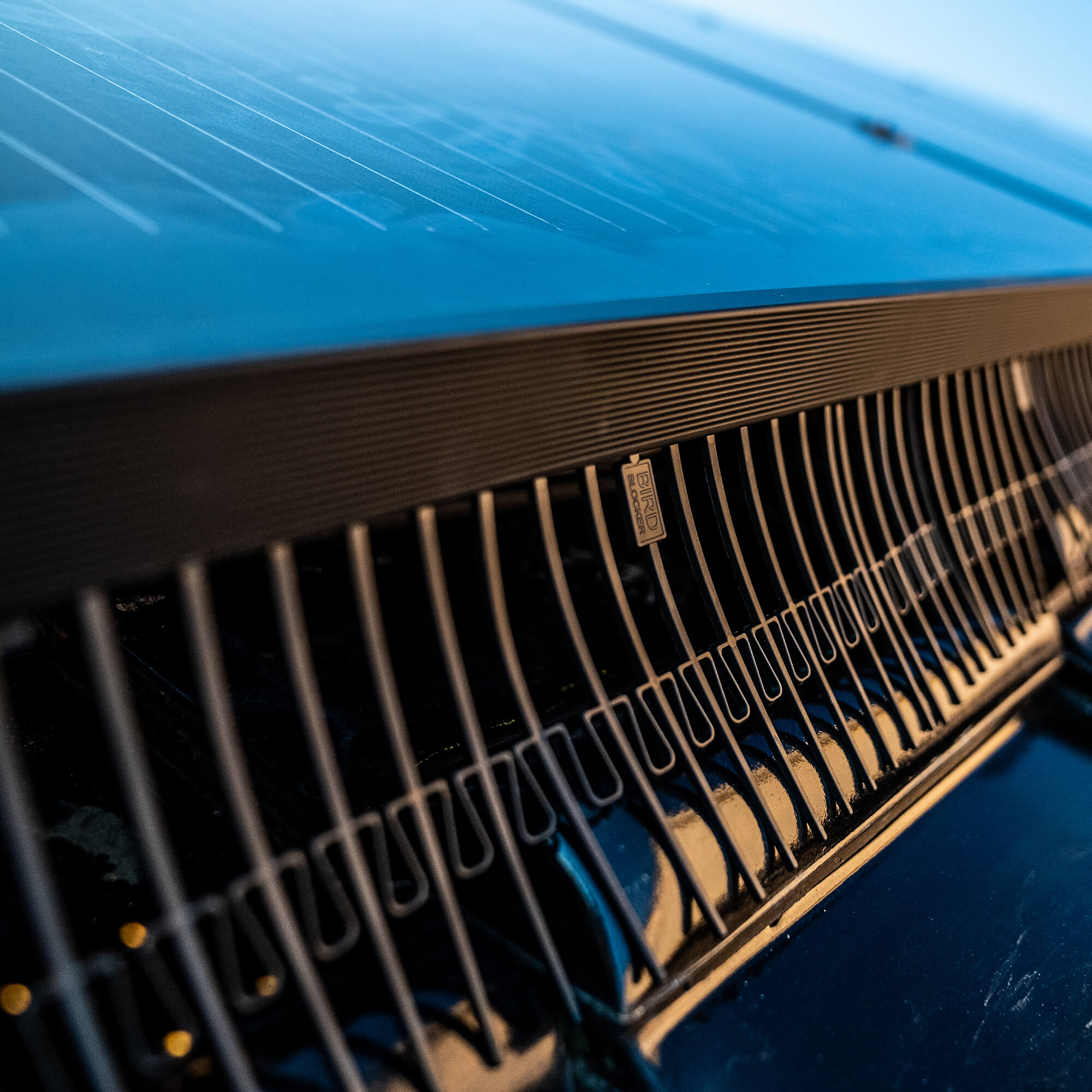 New exciting products added to our assortment